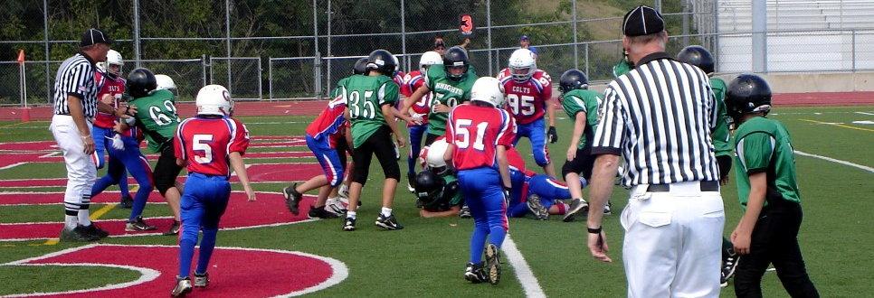 2009 Brookline Knights News and Information